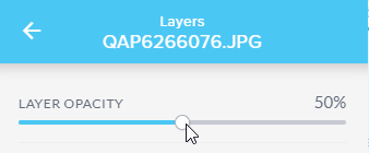 Georeference an image - GeoResGlobe