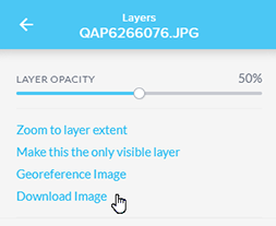 Georeference an image - GeoResGlobe